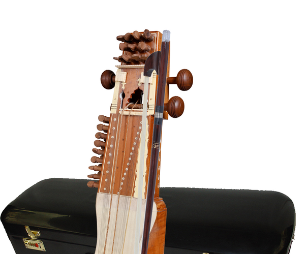 instruments like sarangi